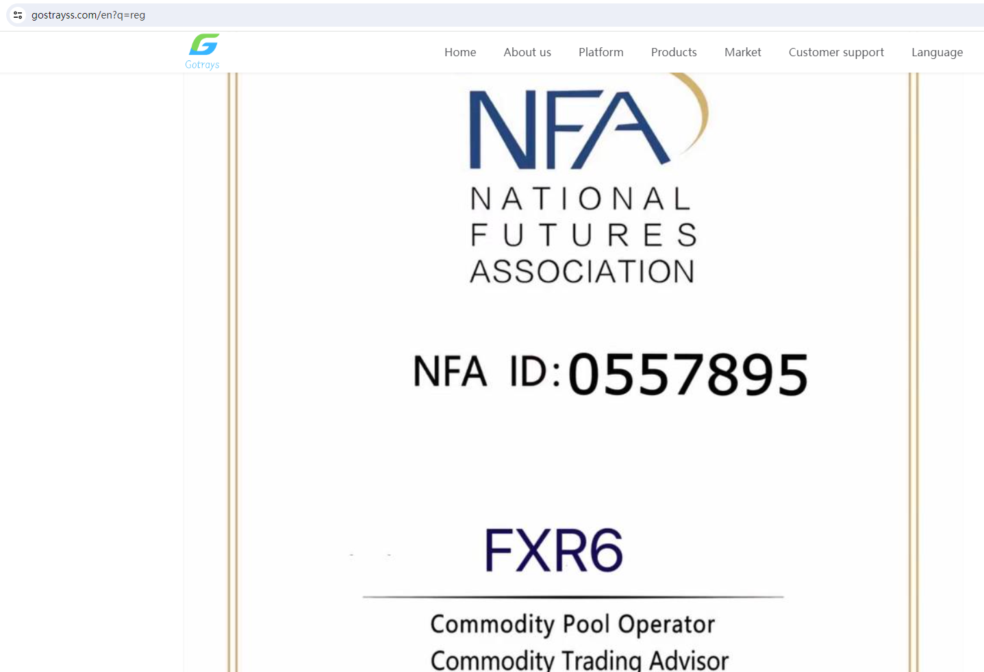 Gotrays Review 2024 | Information about Gotrays Forex Broker - BrokersView