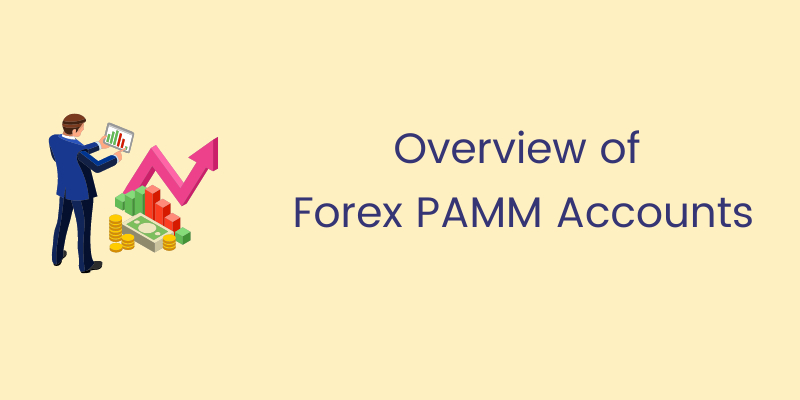 How Forex PAMM Accounts Work - BrokersView