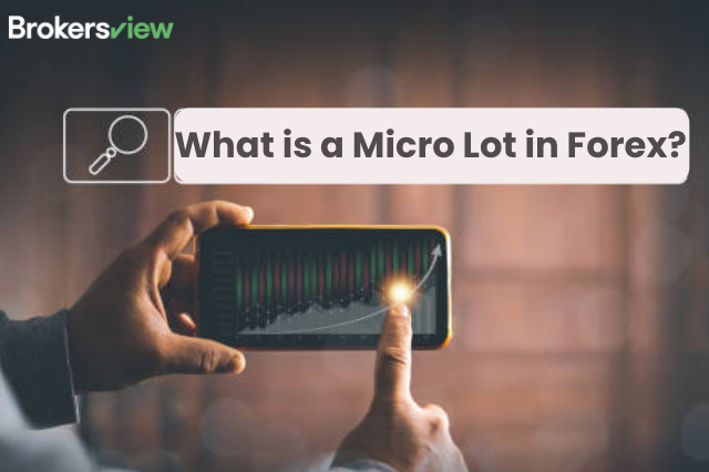 What is a Micro Lot in Forex? - BrokersView